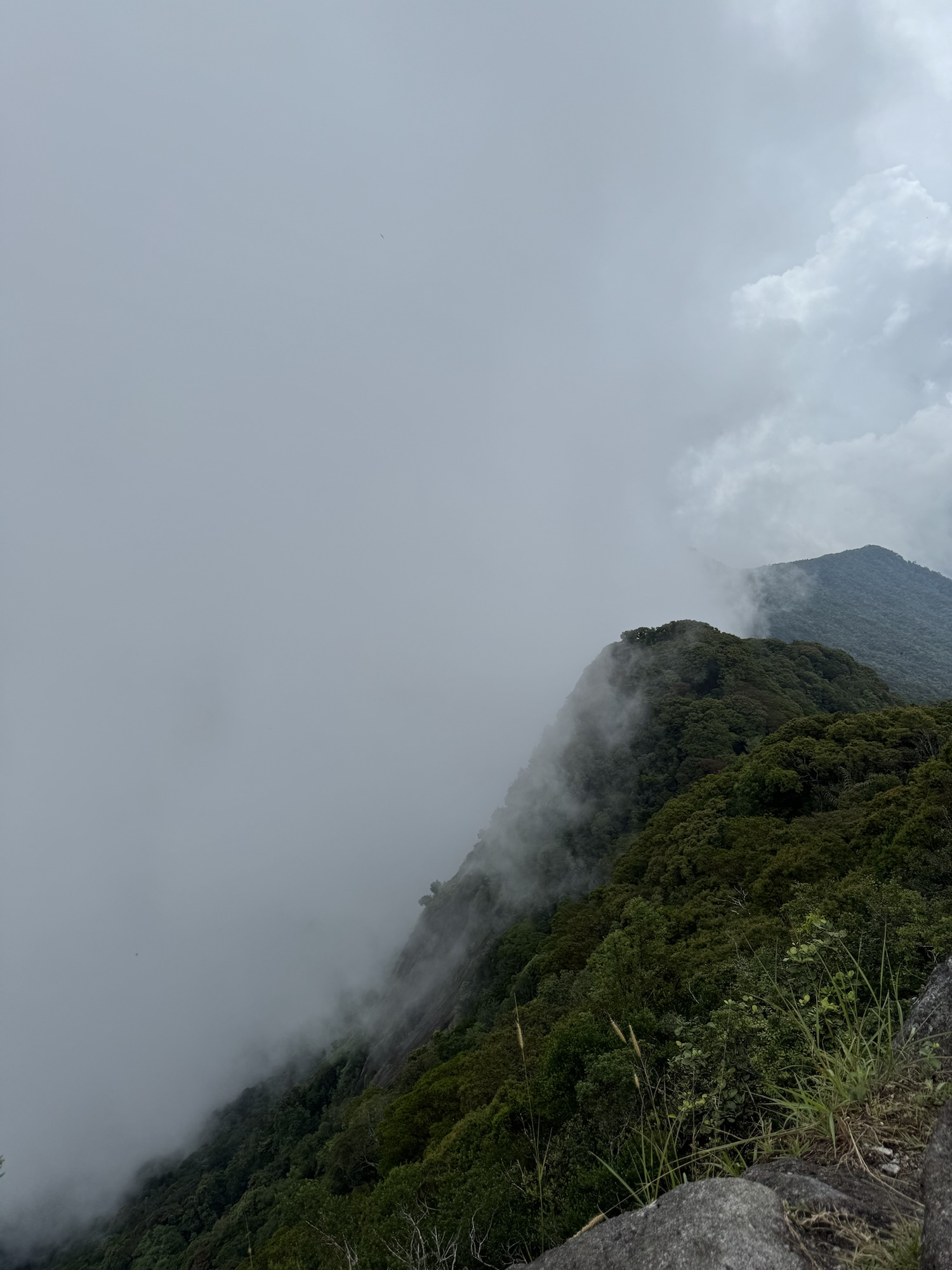 Ultimate Guide to Hiking Mount Ophir (Gunung Ledang) in Johor Bahru, A ...