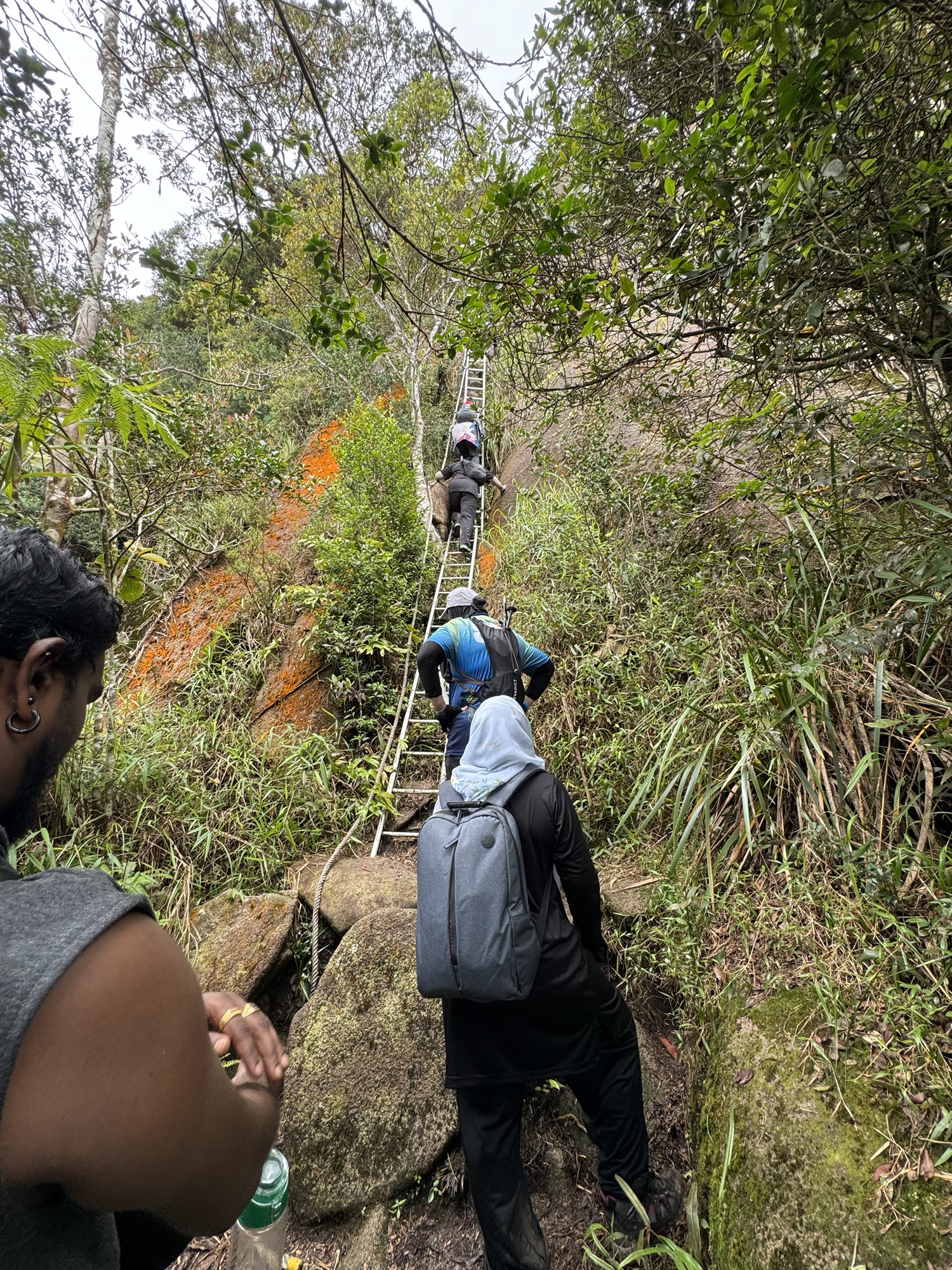 Ultimate Guide to Hiking Mount Ophir (Gunung Ledang) in Johor Bahru, A ...